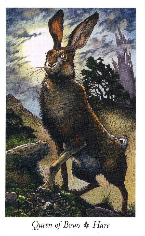 Tarot Decks - Beautiful, unique and unusual tarot decks